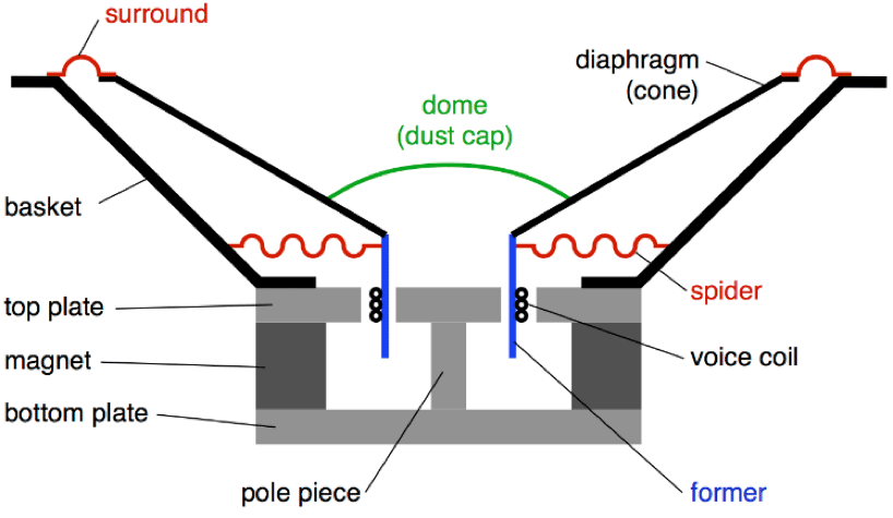 The Heart of Your Sound System: A Deep Dive into Speaker Cones ...