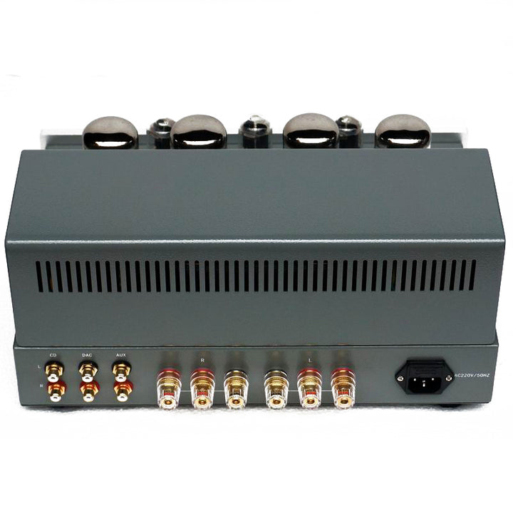 High Power Tube Amplifier – IWISTAO HIFI MINIMART