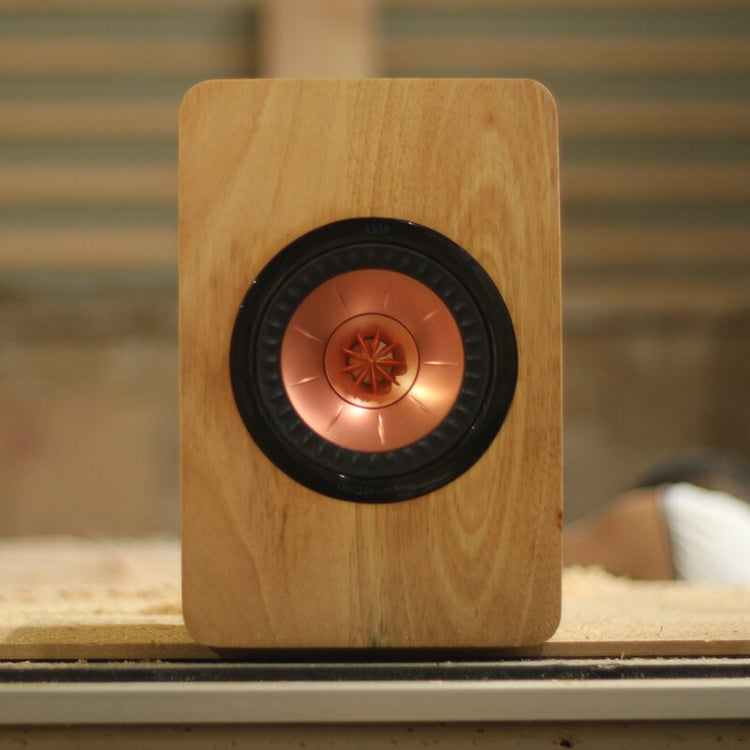 IWISTAO 5.25 Inch Coaxial Empty Cabinet Solid Wood Back Inverted No In ...