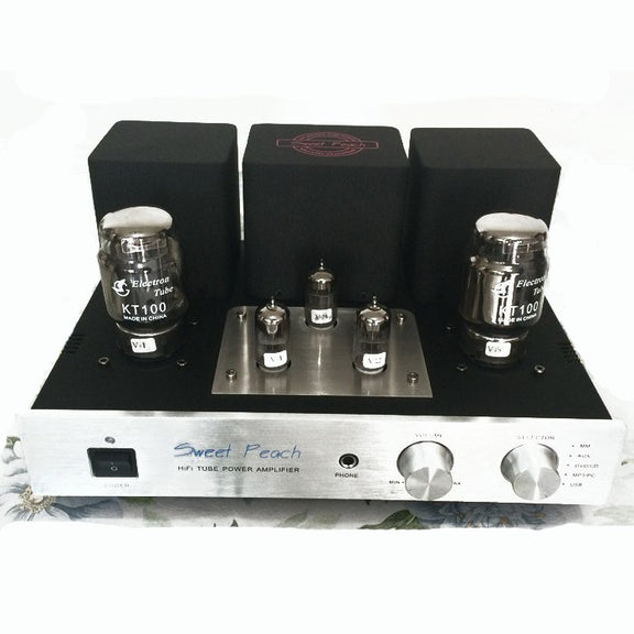 IWISTAO Tube Amp KT100 Power Stage 2x13W Triode Connection Class A – IWISTAO HIFI MINIMART